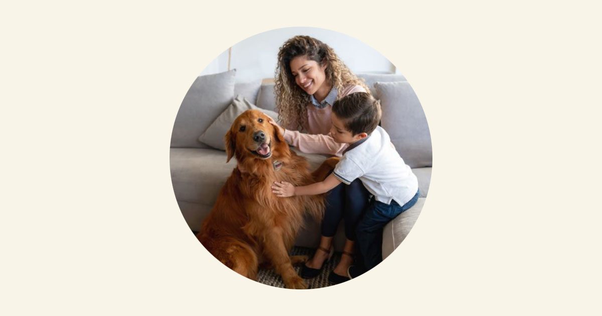 Squamish Insurance - Vancity